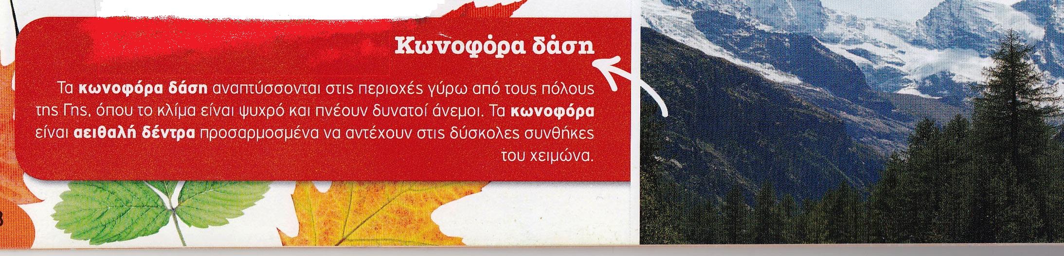 Ο φίλος μας το δάσος :: 9odimkilkis