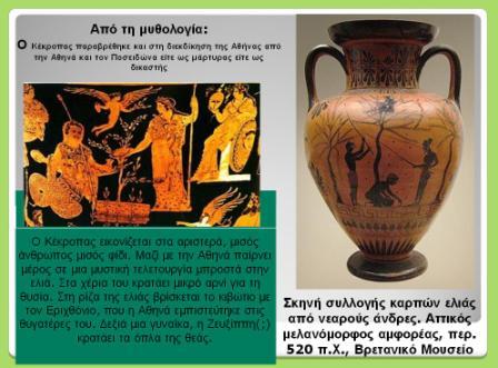 Η ελιά :: 9odimkilkis